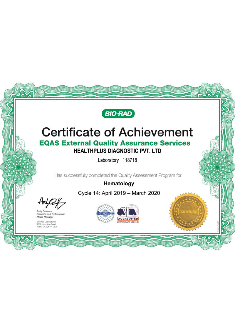 Health Plus Diagnostic | Leading Diagnostic center in West Bengal